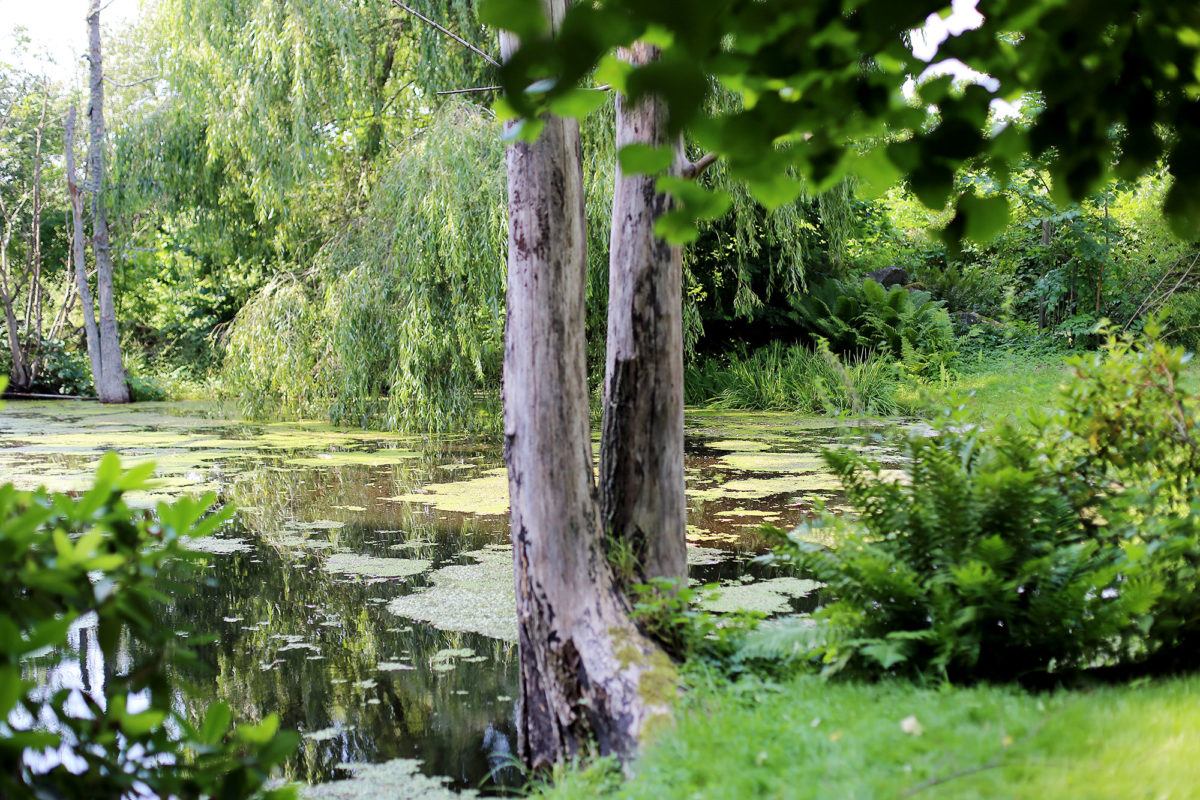 ett dygn i en kuliss – wilderness